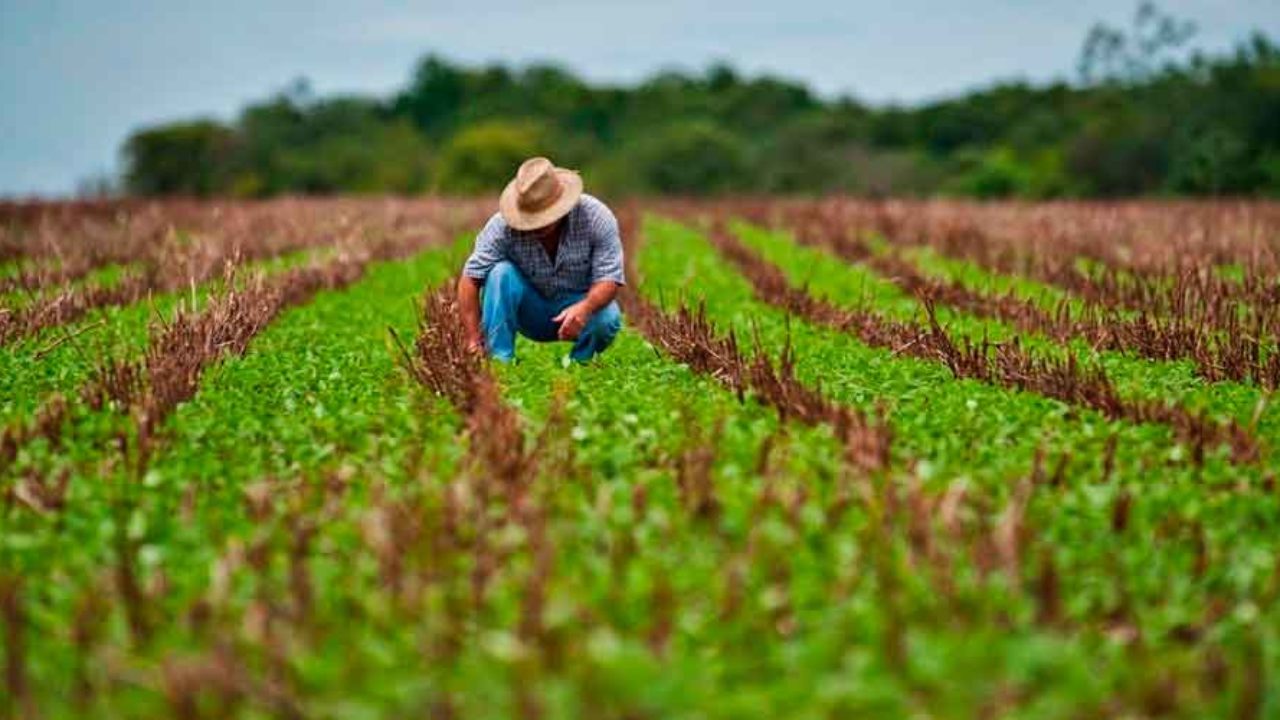 Produtores rurais não precisam apresentar documentos autenticados ao ...