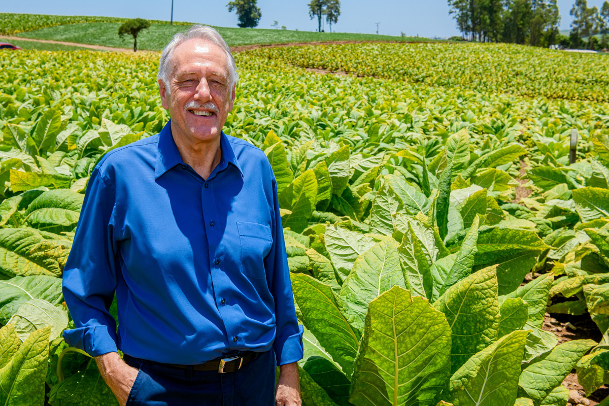 Novas regras para a produção integrada do tabaco no Brasil - Revista ...