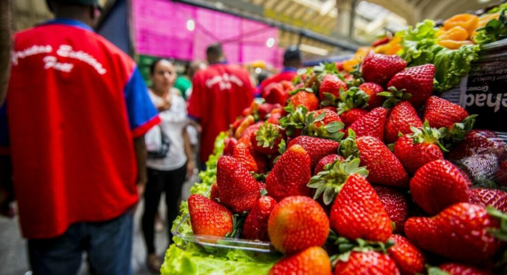 Morangos nacionais e importados abastecem Brasil - Revista Negócio Rural