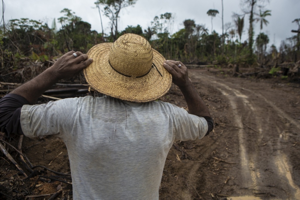 Tamanho da população rural é subestimada no Brasil, aponta pesquisa ...