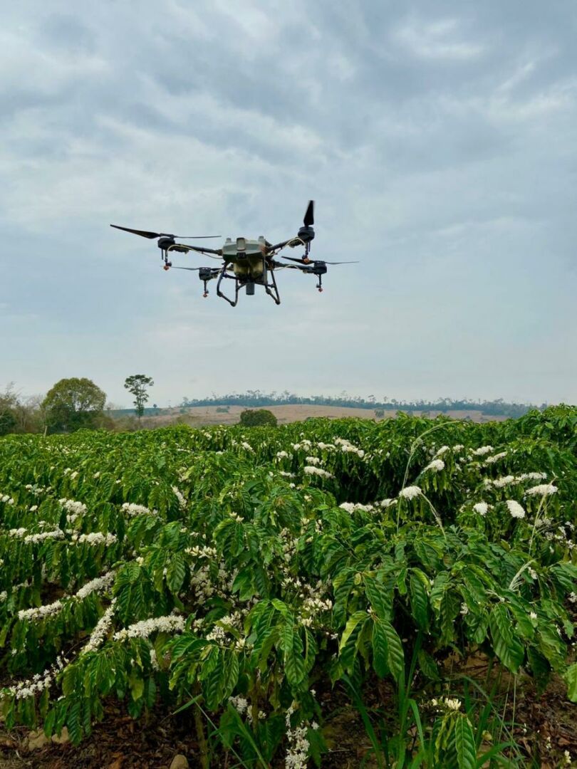 Estudo pioneiro mostra eficiência de "drones" no controle de doenças do ...