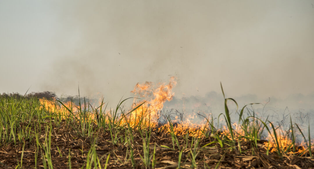 Dez cidades concentram mais de 20% das queimadas no Brasil - Revista Negócio Rural